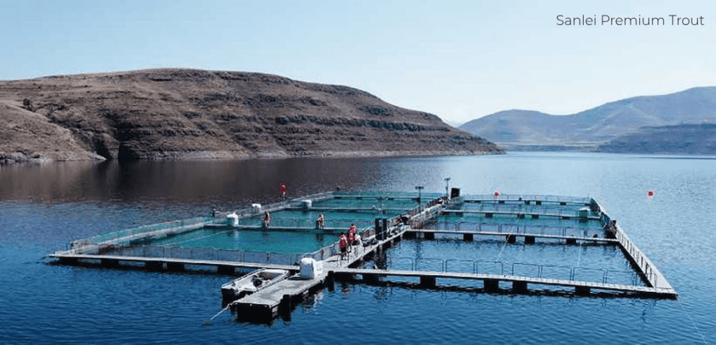 Sanlei Premium Trout, Katse Dam, Lesotho - Mergence Investment Managers ...